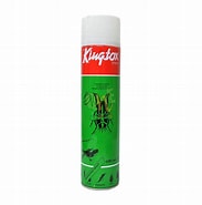 KINGTOX ANTIBACTERIAL CIK SPRAY 600ML – My Store